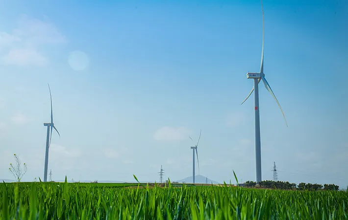 SANY Renewable Energy Refuerza su Compromiso con la Sostenib...